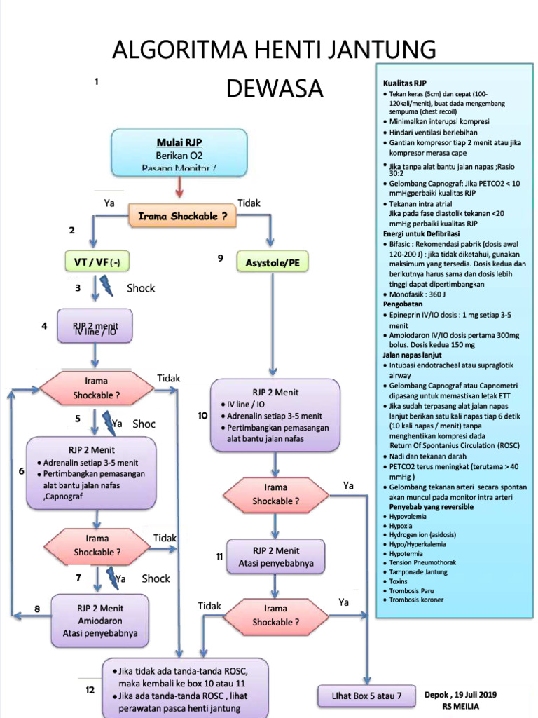 PDF Algoritma Henti Jantung Dewasa - Compress | PDF