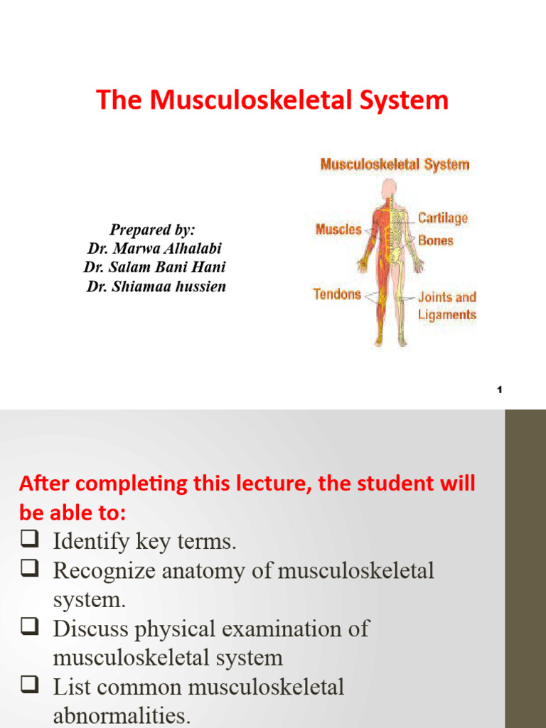 Musculoskeletal Assessment2023 | PDF | Anatomical Terms Of Motion | Human Musculoskeletal System