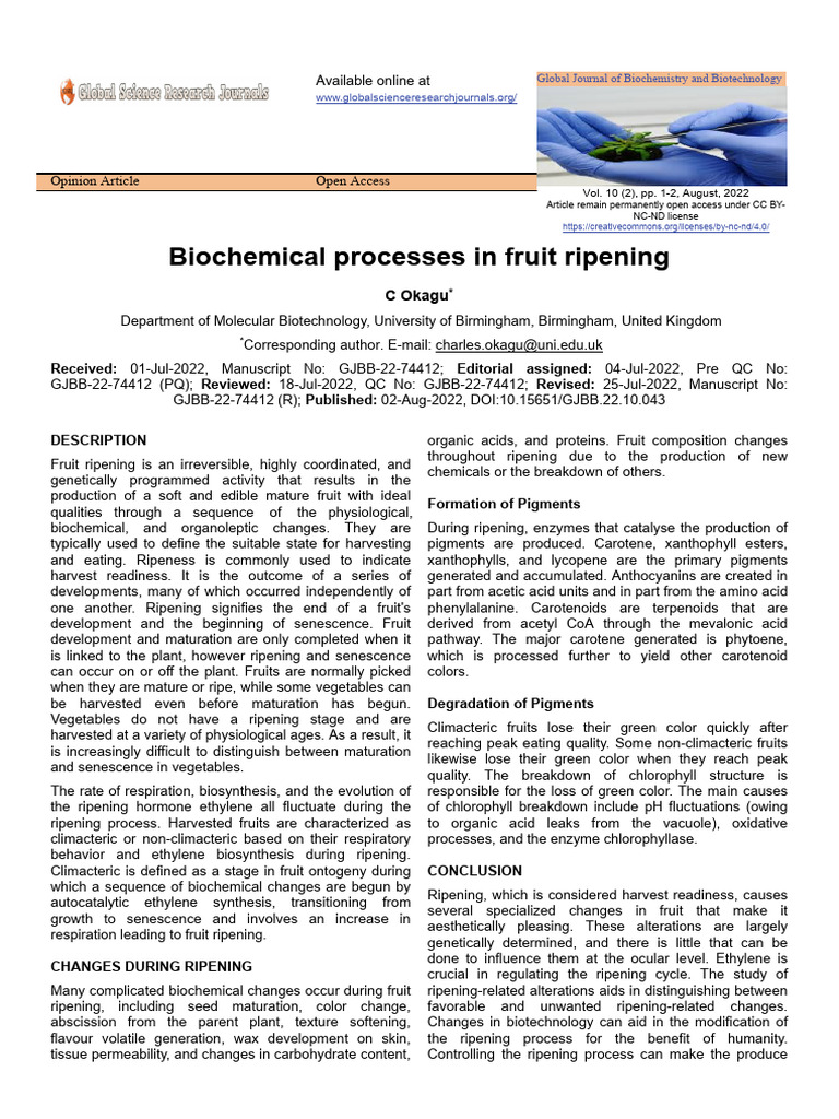 Biochemical Processes in Fruit Ripening | PDF | Biochemistry | Chemistry