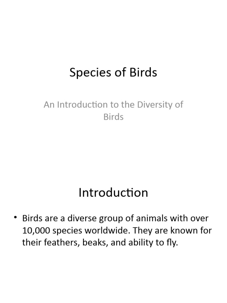 Species of Birds Presentation | PDF