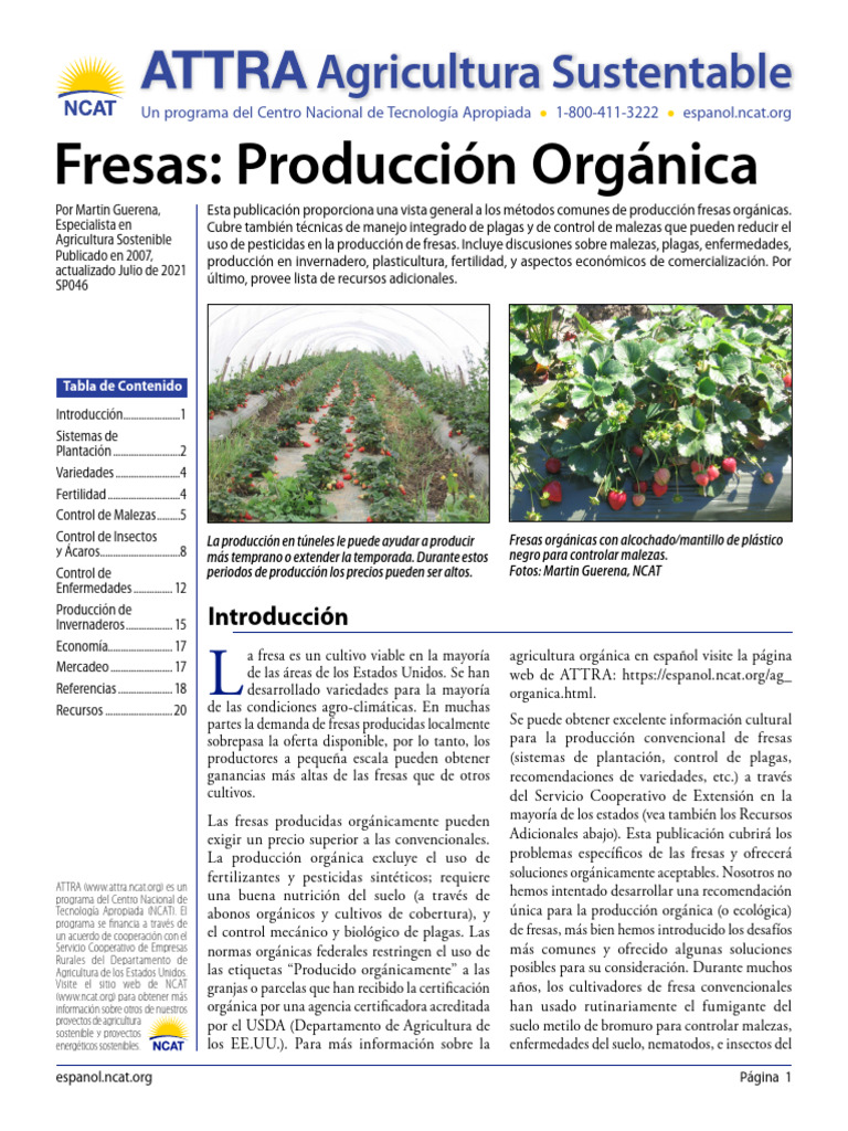 SP046-Fresas | PDF | fresa | Fertilizante