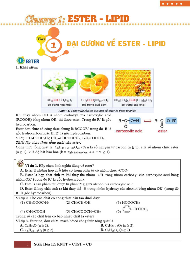 Bài 1. Ester - Lipid (Bản Học Sinh) | PDF