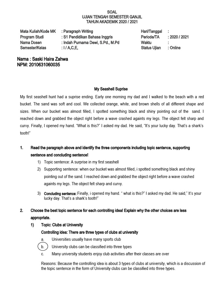 Paragraph Writing Exam: 2020/2021 | PDF