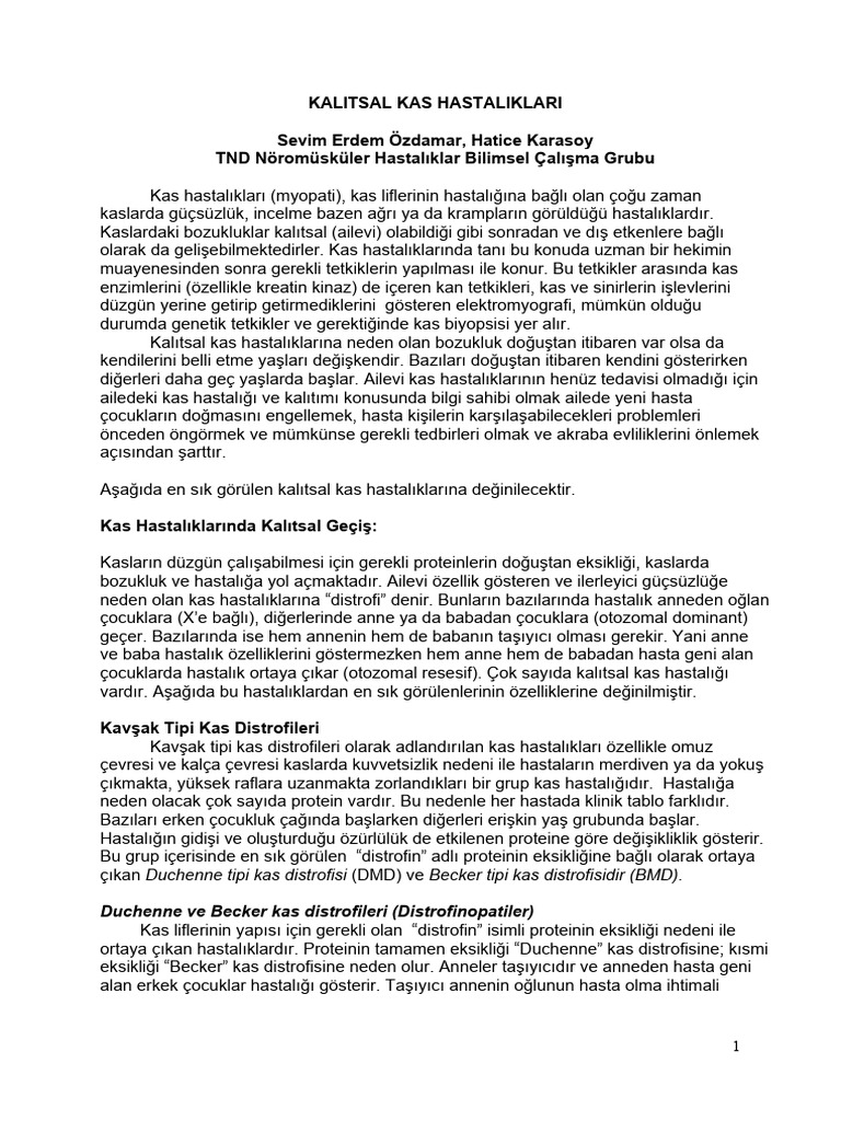 Kalitsal Kas Hast | PDF