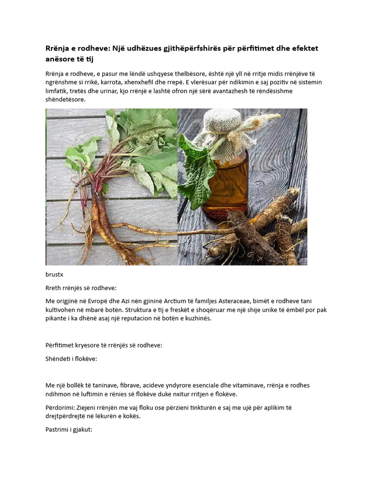 Rrënja e Rodheve | PDF