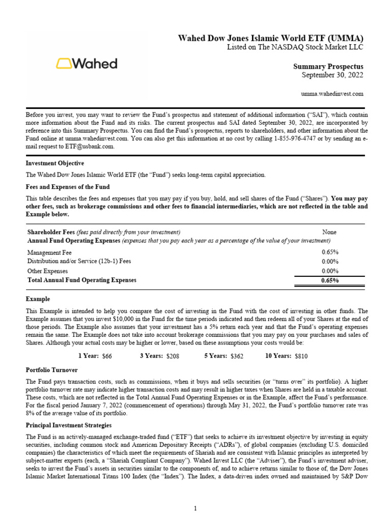 summary_prospectus | Download Free PDF | Investment Fund | Stocks