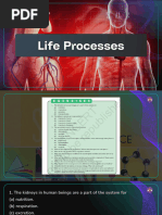 Control & Coordination Notes | PDF | Nervous System | Brain