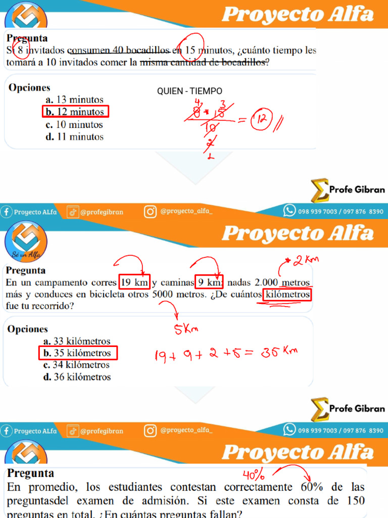 Resuelto Senescyt Simulador. Proyecto Alfa | PDF