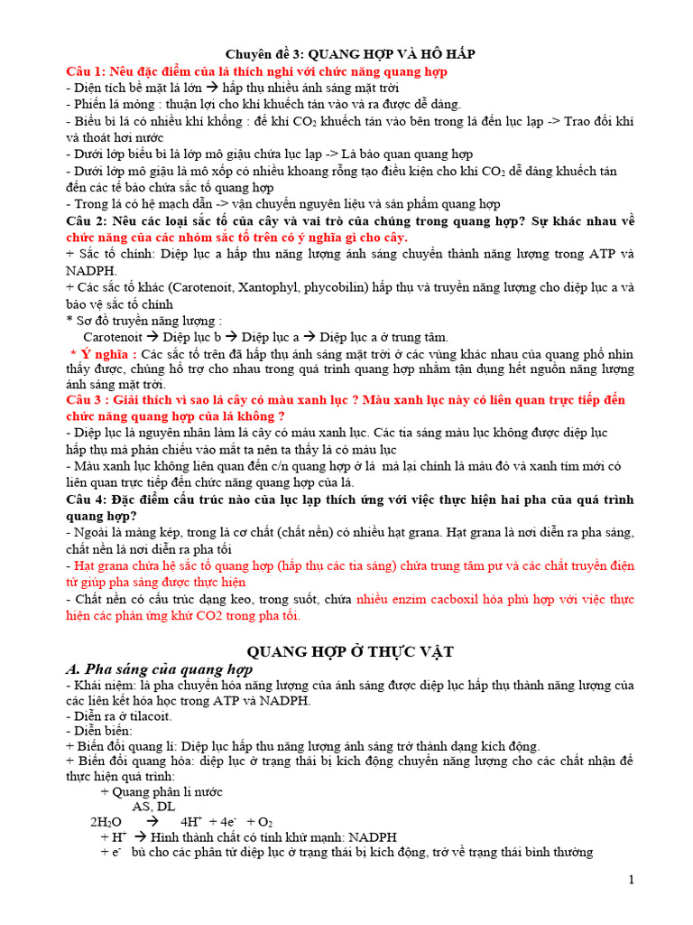 Buoi 3 Quang Hop Va Ho Hap | PDF