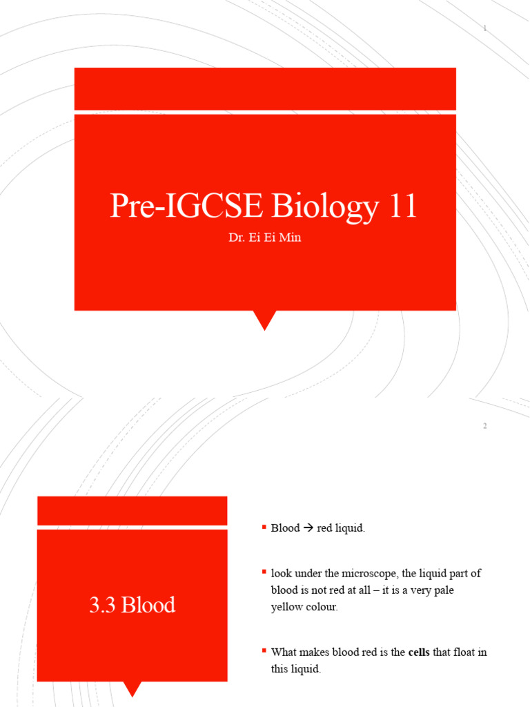 Pre-IGCSE Biology 11 (The Blood) | PDF | Blood | Blood Cell