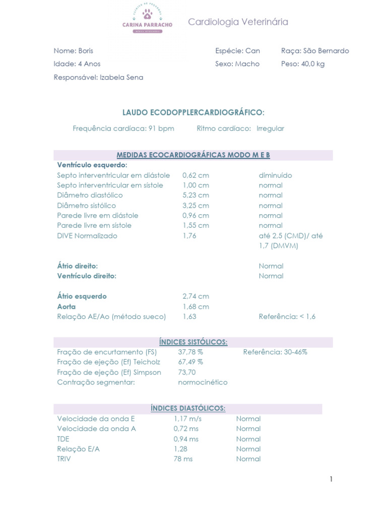 Laudo Ecocardiográfico Boris-Izabela | PDF | Ventrículo (coração) | Coração