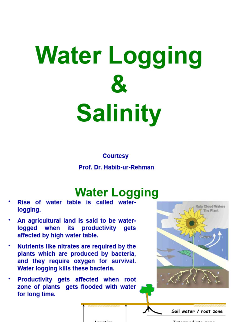 11.water Logging Salinity | PDF | Drainage | Soil
