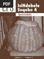 Zulu Noun Types Explained | PDF