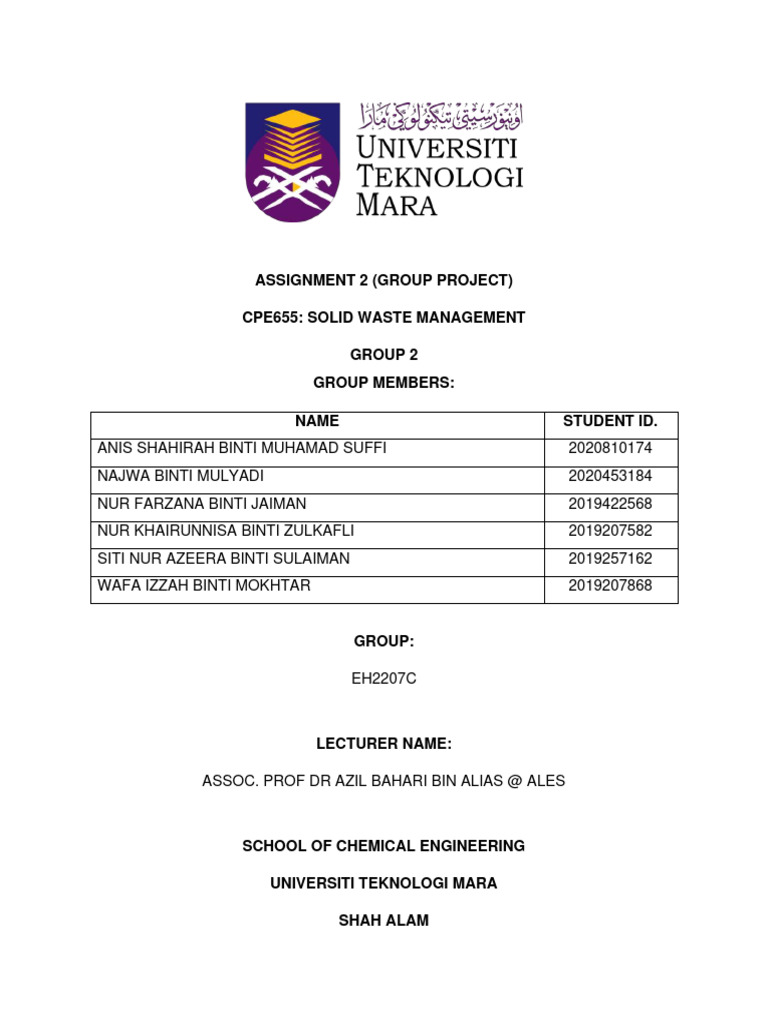 CPE655 Solid Waste Management Assignment | PDF | Gasification | Pyrolysis