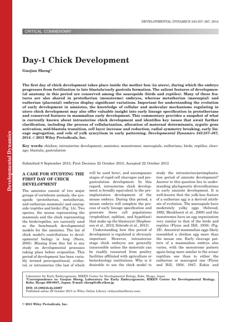 Day-1 Chick Embryo Development | PDF | Embryo | Uterus