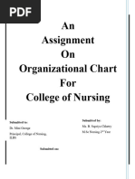 Nursing Flow Sheet | PDF