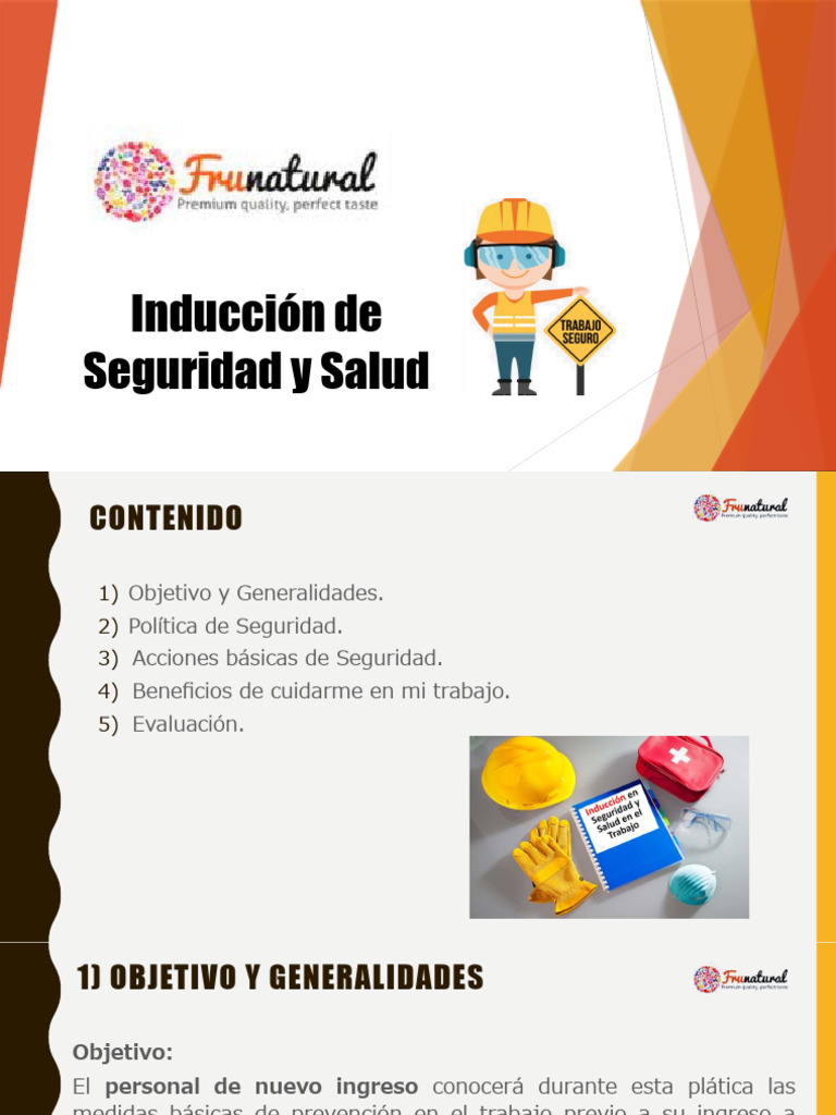 Inducción de Seguridad | PDF