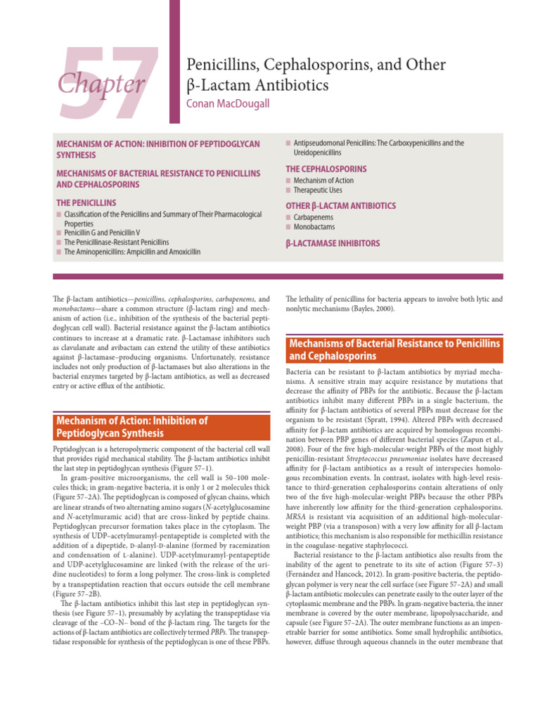 Cephalos | PDF | Penicillin | Beta Lactamase