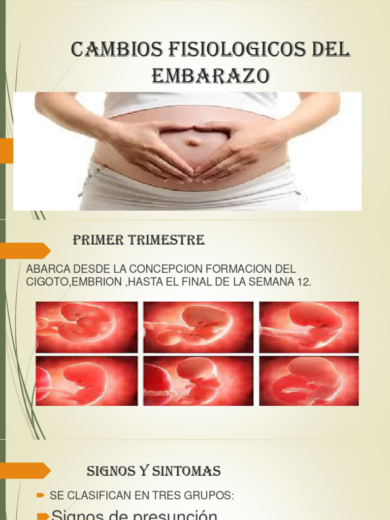 Cambios Fisiologico Embarazo 2024 | PDF | El embarazo | Parto