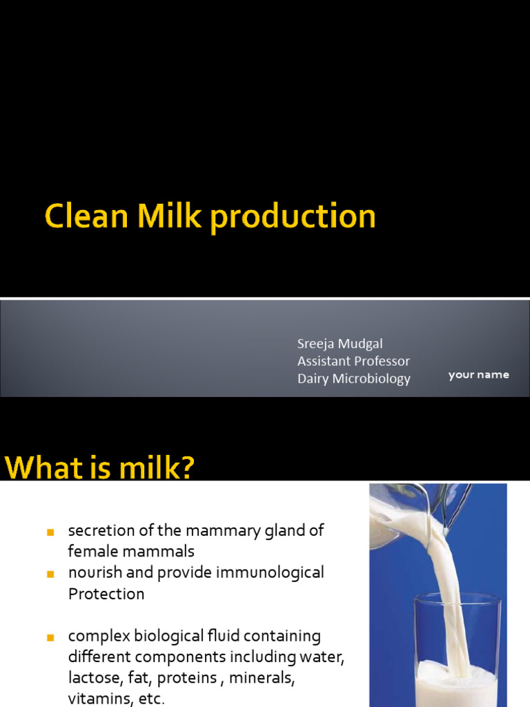 Clean MIlk Production | PDF | Milk | Dairy