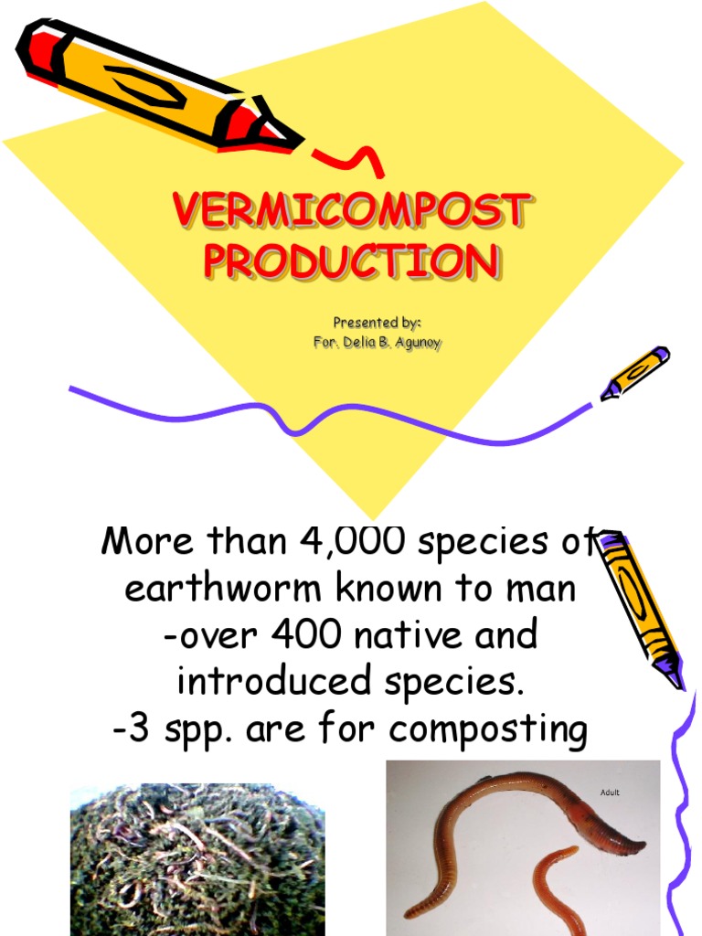 Vermicompost Production | PDF | Compost | Natural Materials