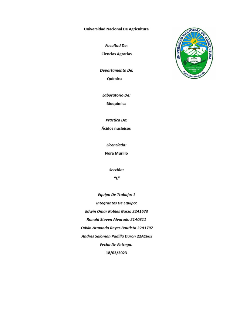 Practica 4 Lab Bioquimica | PDF | Ácidos nucleicos | Rna