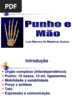 Aula 6 Ossos, Músculos, Inervação e Vascularização Do Punho e Mão | PDF ...