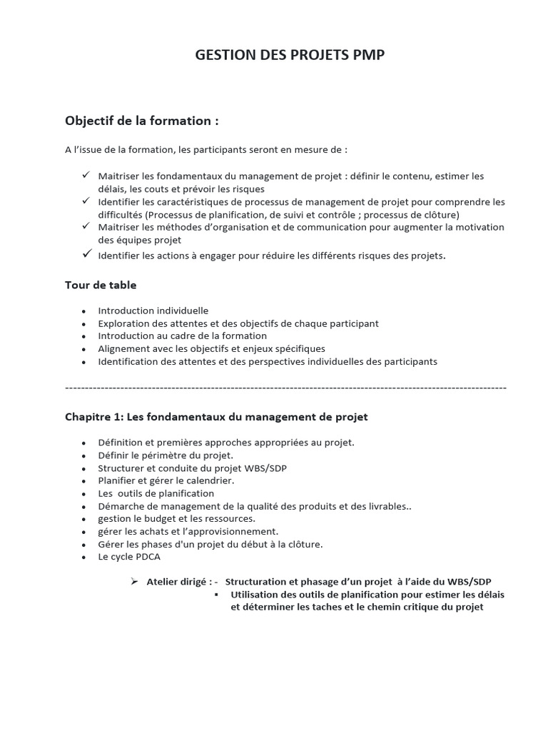 Gestion de Projet PMP | PDF | Gestion de projet | Business