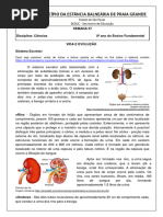Ficha de Trabalho: Sistema Excretor | PDF