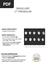 Morphology of Permanent Maxillary 3rd Molar | PDF | Dental Anatomy ...