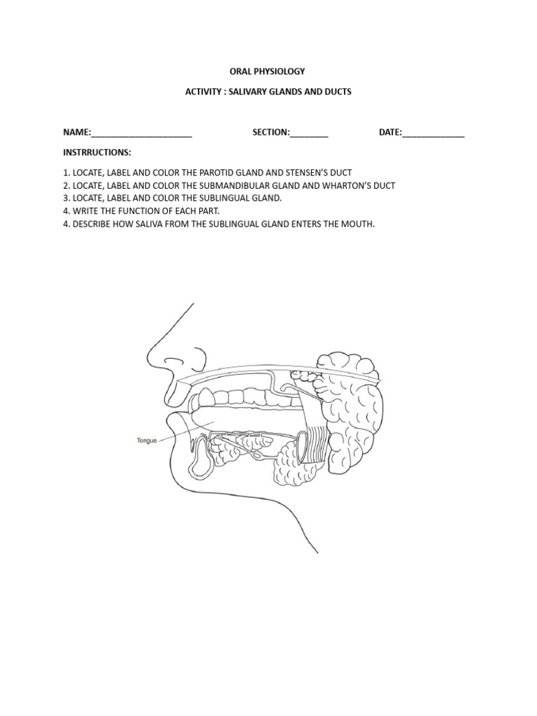 Oral Physio Activities | PDF | Lip | Tongue