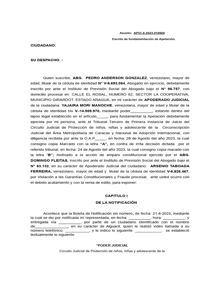 escrito de apelacion yajaira | Descargar gratis PDF | Sentencia (ley) | Debido al proceso