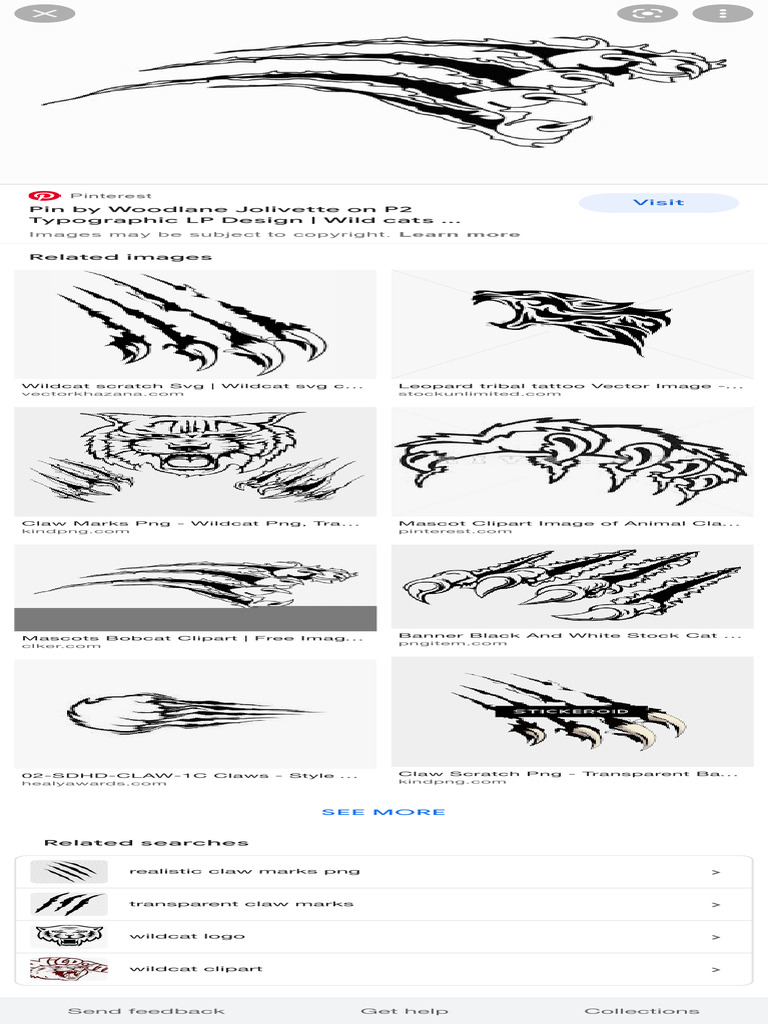 Tiger Tear Drawing - Google Search | PDF