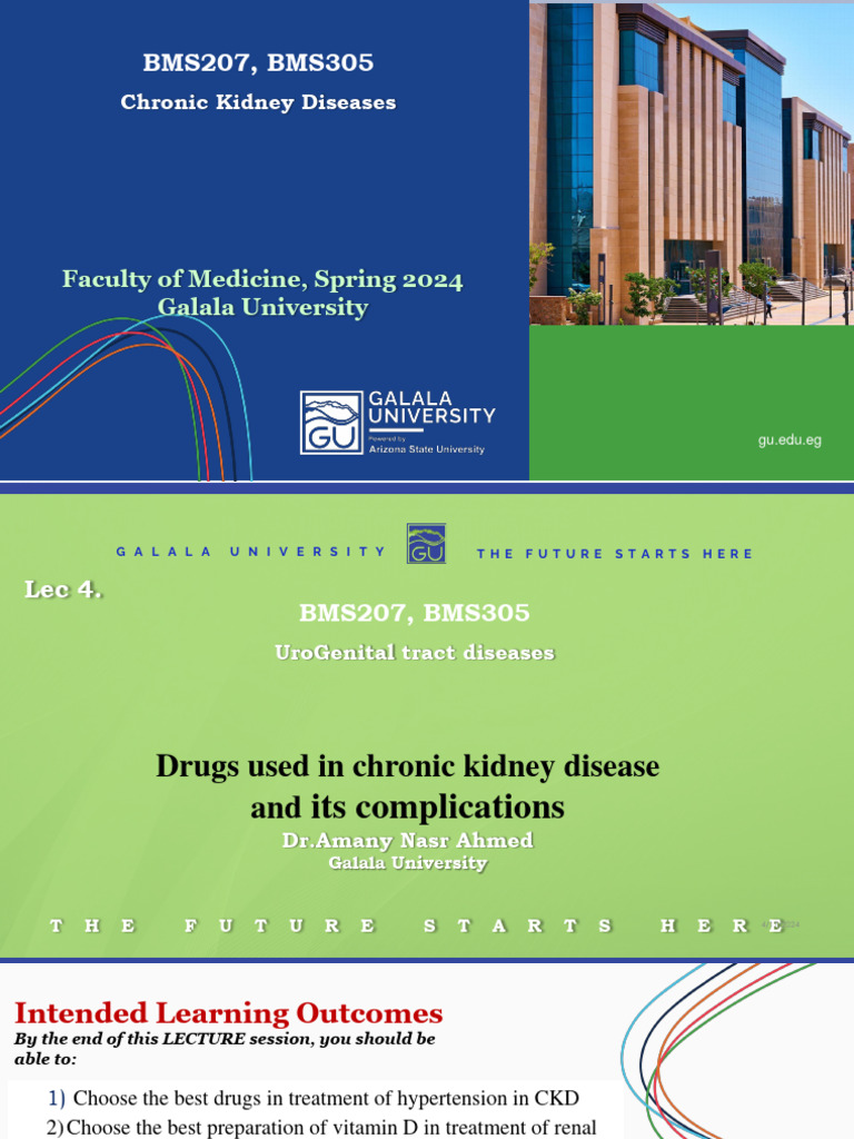 24 - BMS305 - Pharmacology - Chronic Kidney Diseases - Lect 2 - Spring 2024 | PDF | Chronic ...