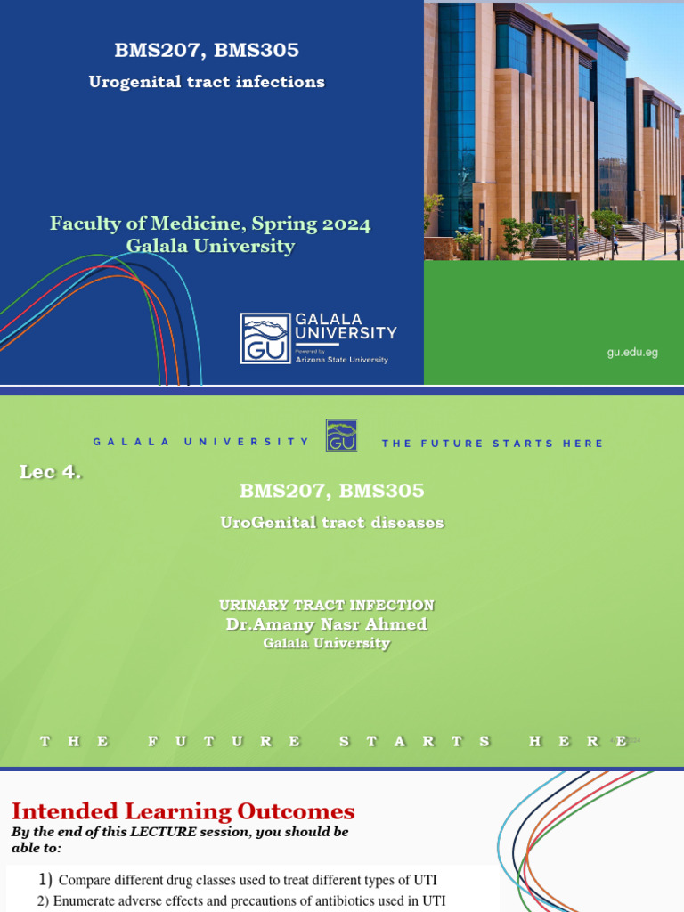 23 - BMS305 - Pharmacology - Urinary Tract Infections - Lect 1 - Spring 2024 | PDF | Urinary ...