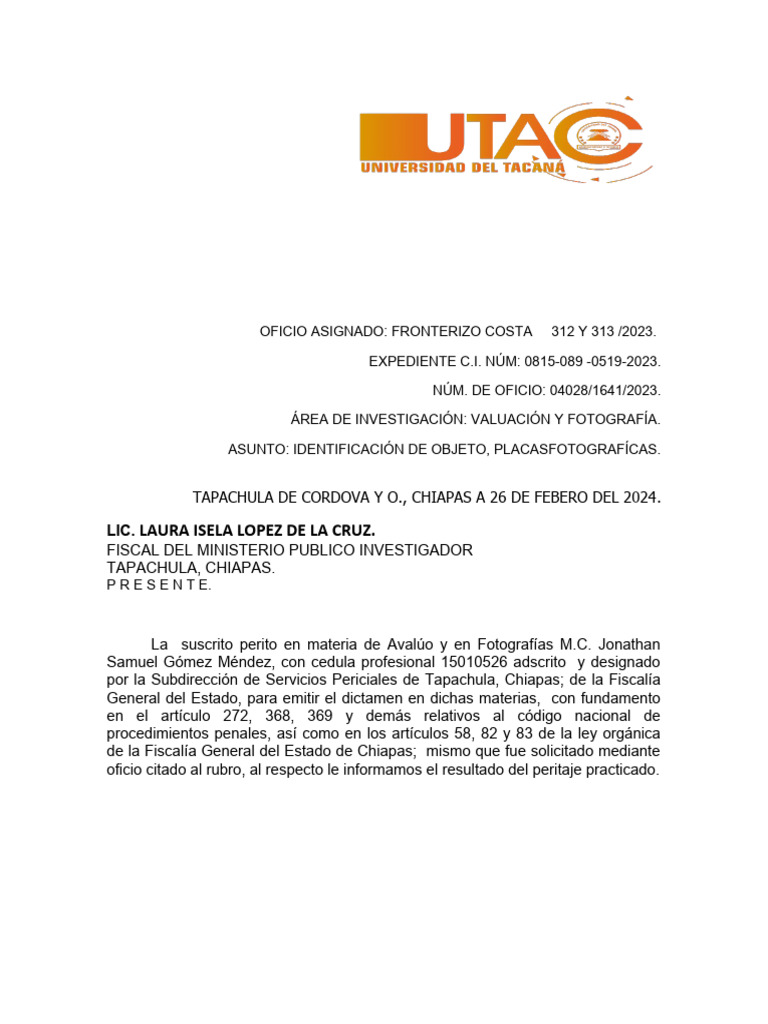 Dictamen Periciales | Descargar gratis PDF | Testigo experto