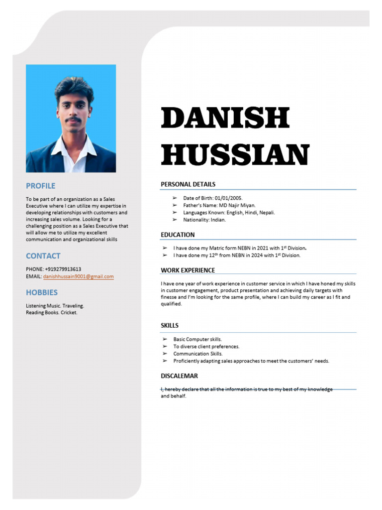 Sales Executive Profile and Experience | PDF