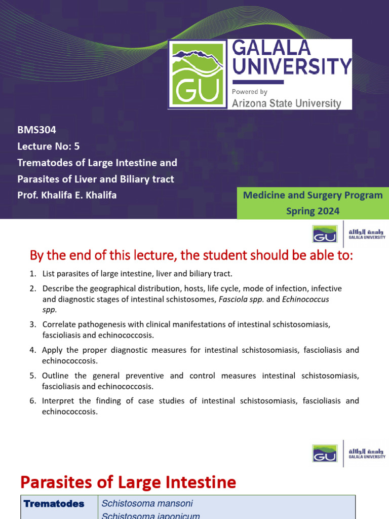 Lect 5. BMS304 Parasitol Trematodes of LI and Parasites of Liver ...