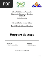 Organigramme Ocp Nouveau | PDF | Maroc | Business
