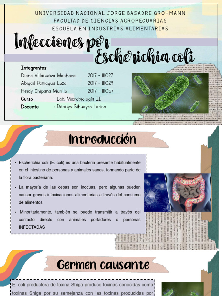 Infecciones Por E. Coli | PDF | Escherichia coli | Alimentos