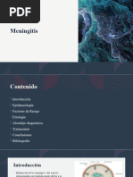 Plataforma Mordedores Midas | PDF | Finanzas y dinero | Ciencias sociales