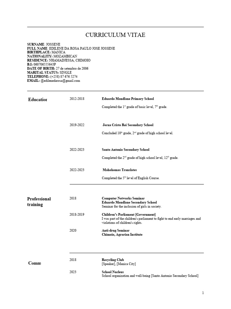 Edleny Paulo - CV 2024 | PDF