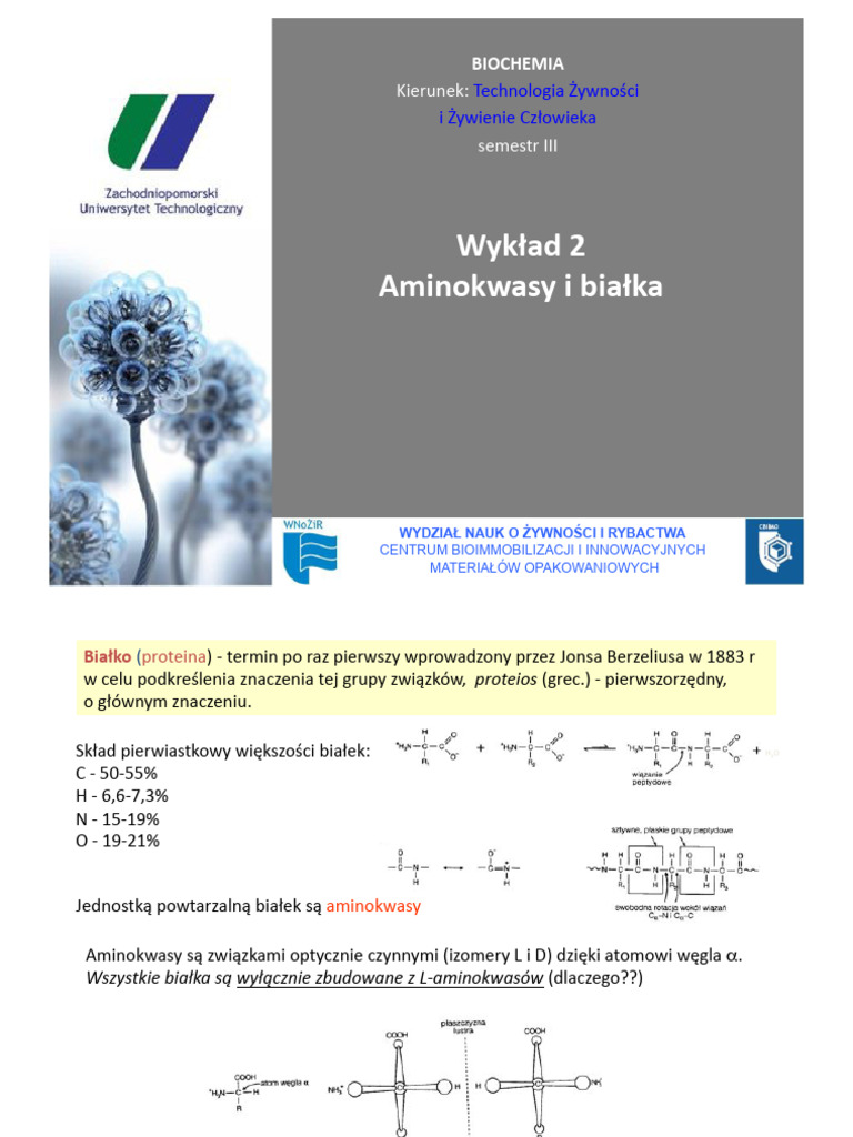 Biochemia TZ - Wyklad 2 - Bialka - Low | PDF | Protein Data Bank ...