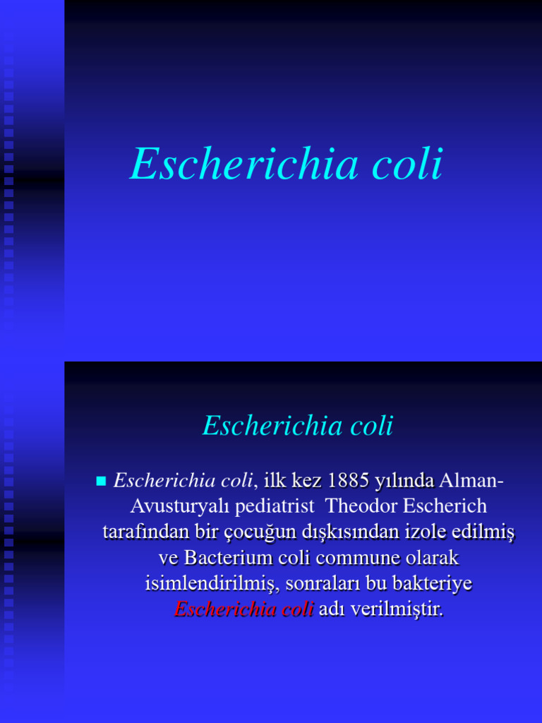 Escherichia Coli | PDF