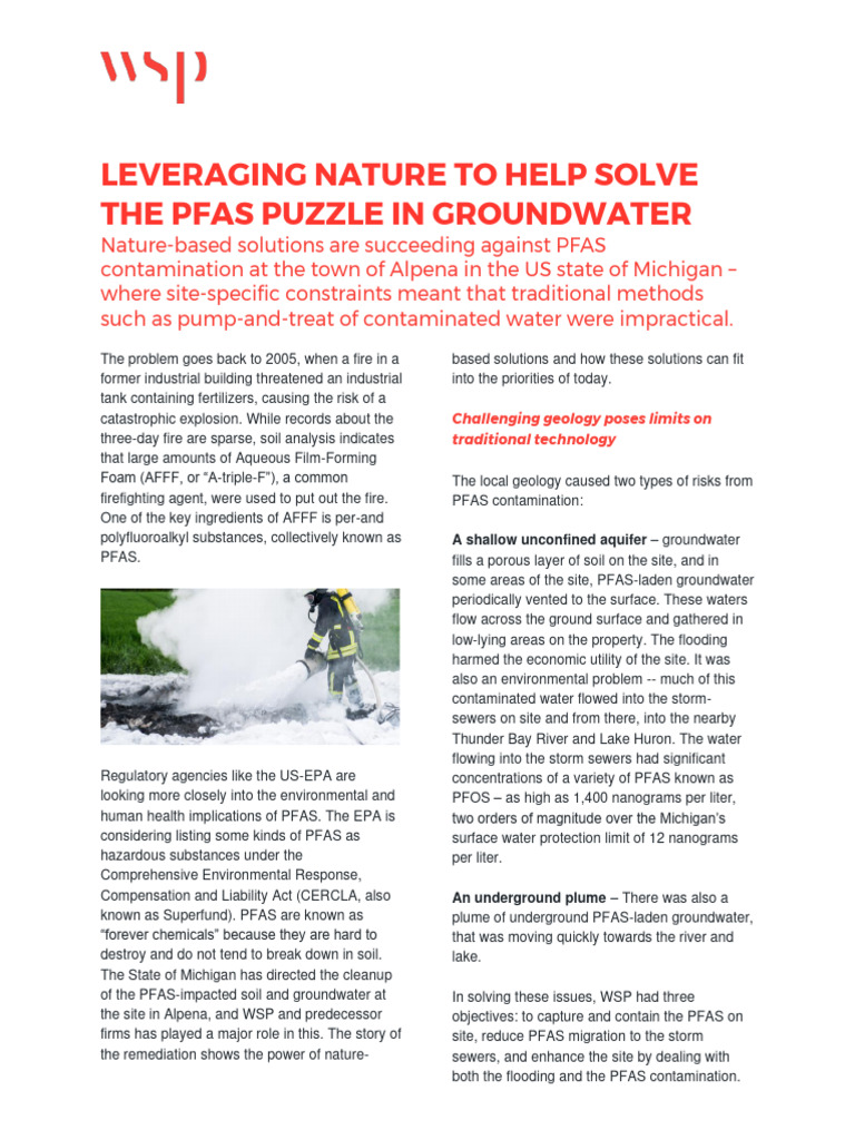 WSP PFAS Puzzle in Groundwater | PDF | Environmental Remediation ...