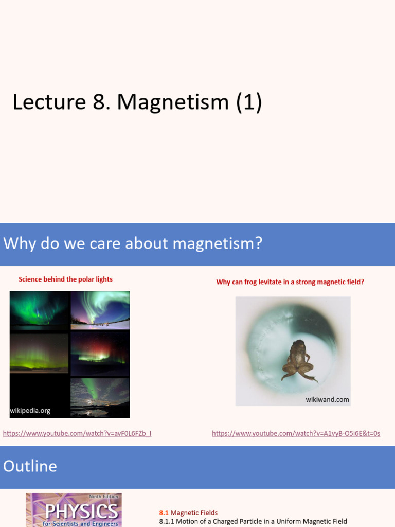 Lecture 8 | PDF | Magnetic Field | Magnetism