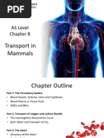 Coordination and Response - IGCSE Biology Notes (2020) | PDF | Synapse ...