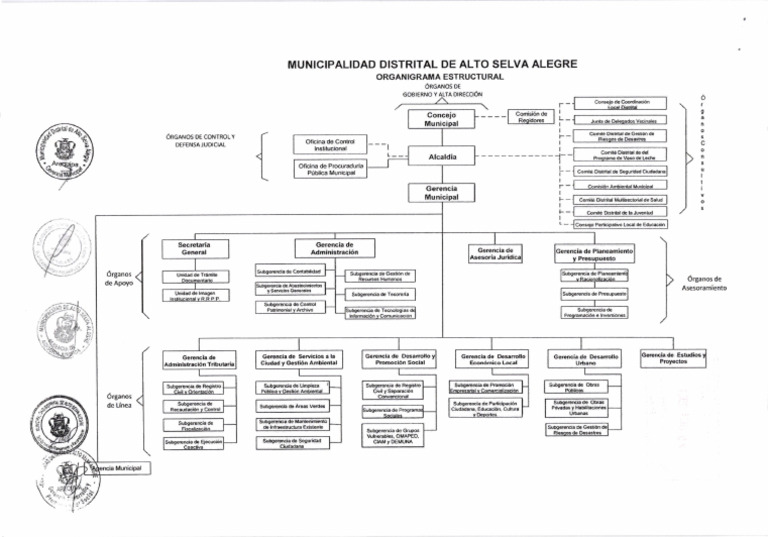 Organigrama Mdasa | PDF