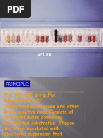Api - 20 Ne - Microbial - Id-Sop | PDF | Nitrate