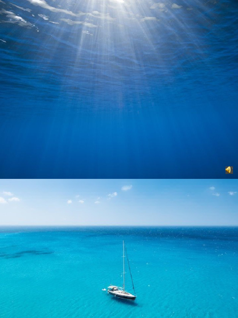 Llce Love Is An Ocean Barre Magnance 1 G | PDF